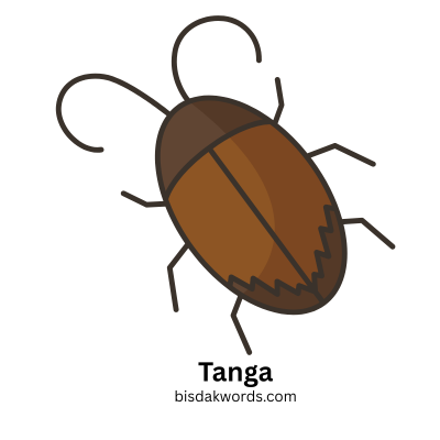Tanga - Bisdak Words